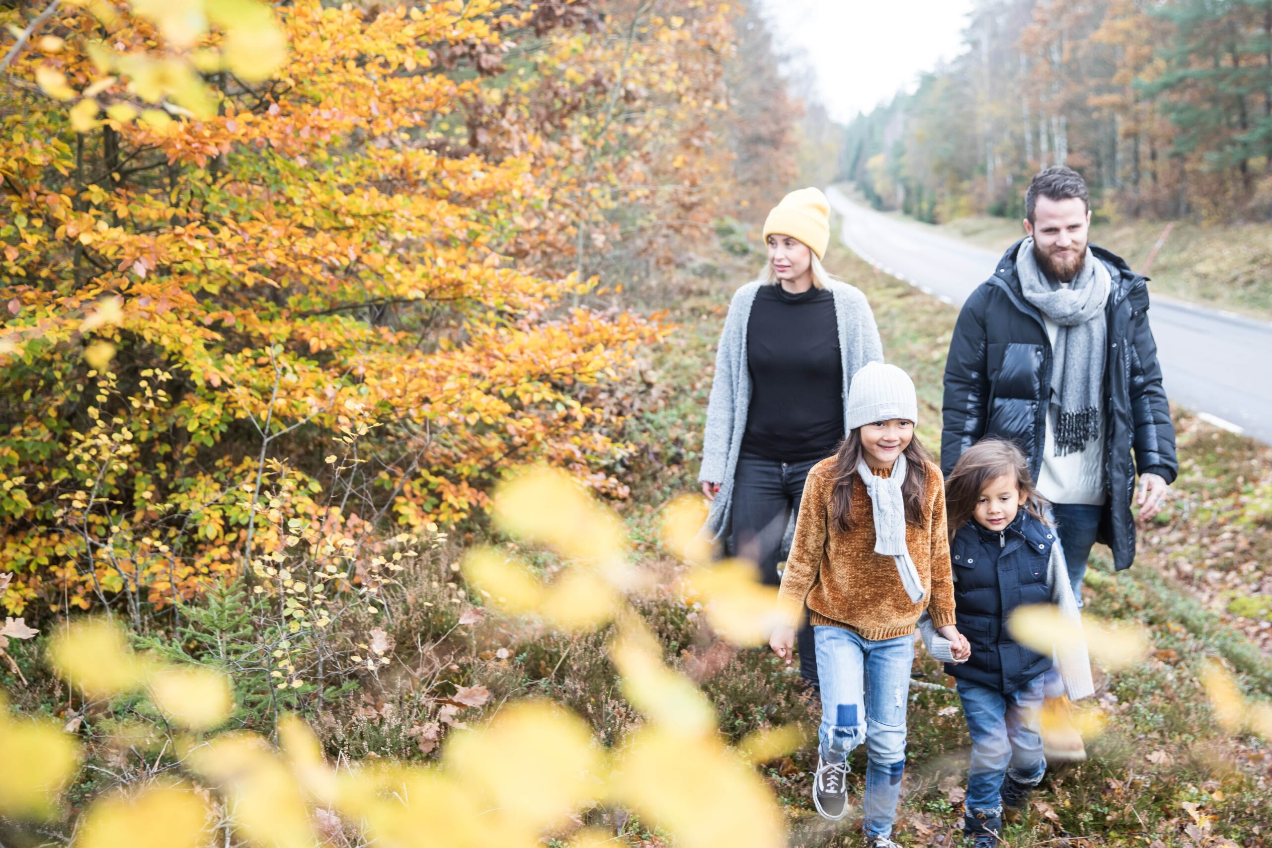 Lev livet i Falkenberg - Placebrander